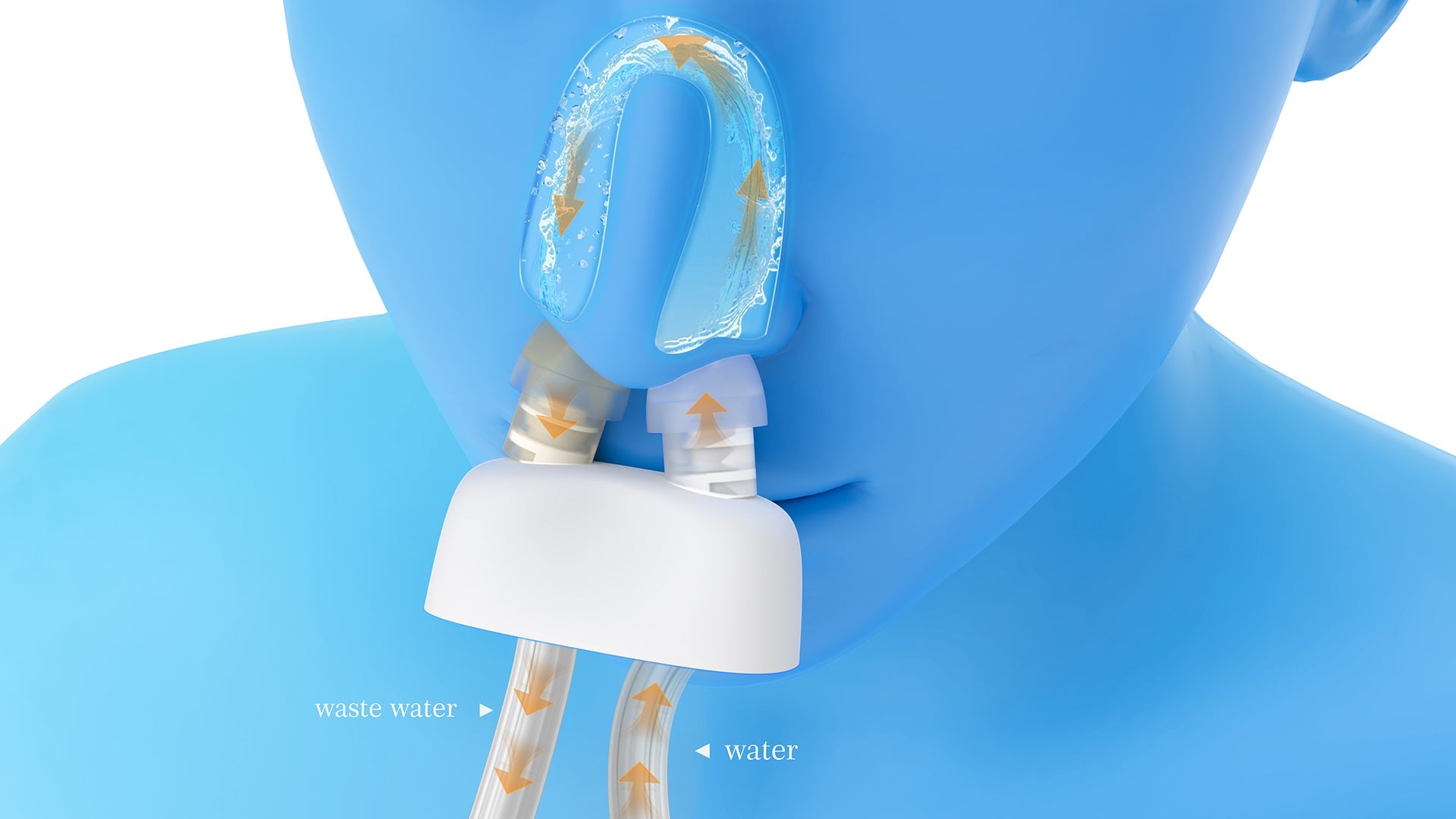 How do you flush out your sinuses